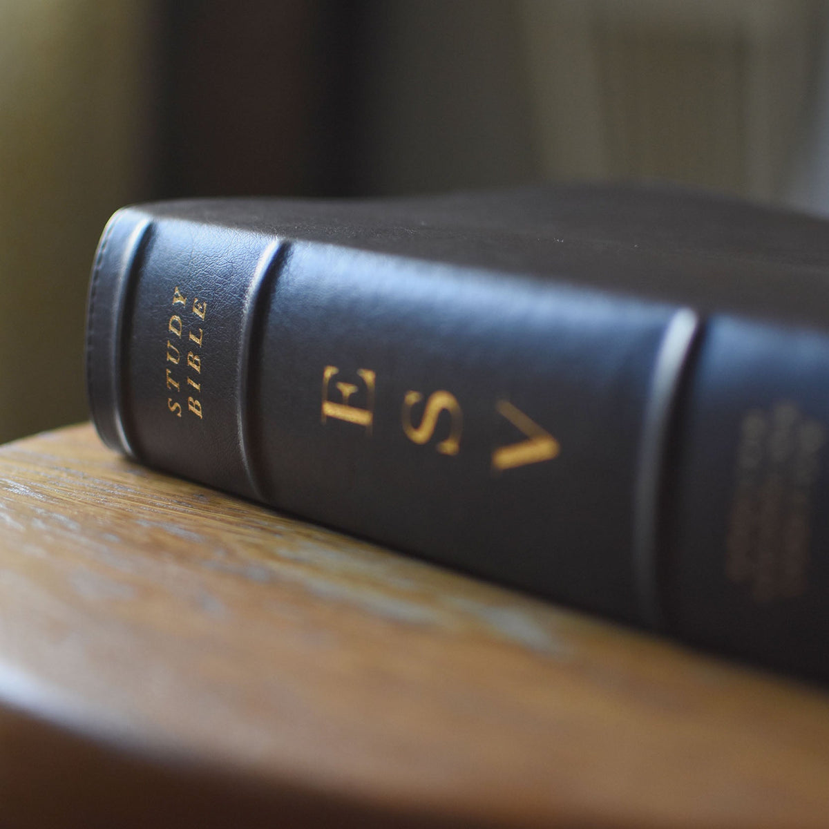 ESV Study Bible Spring Sale – Westminster Bookstore