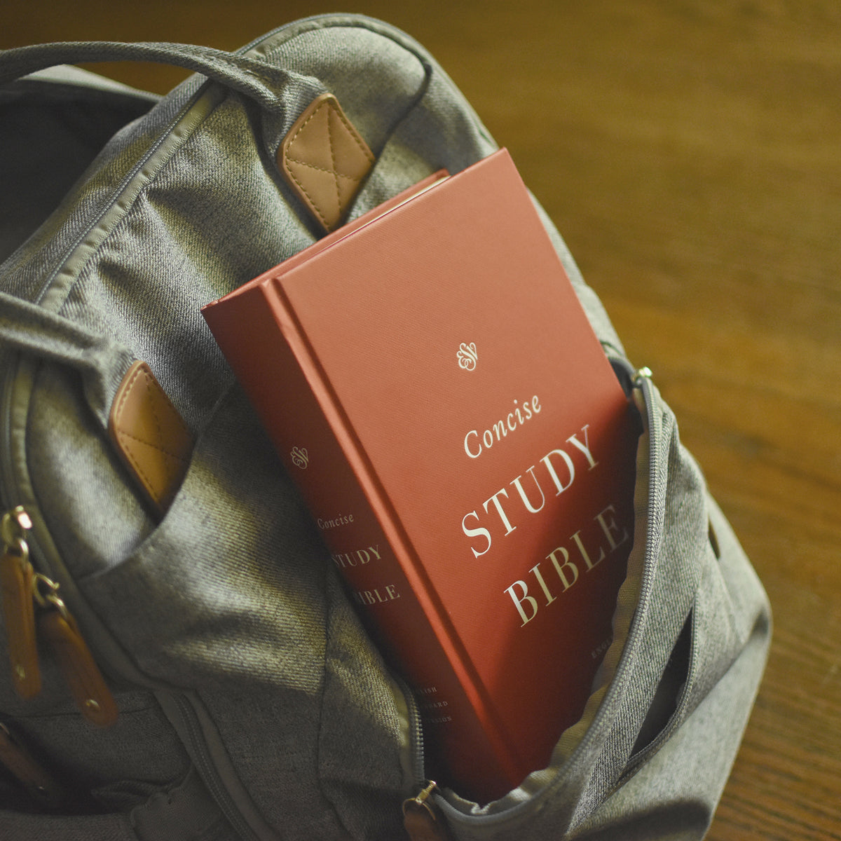 ESV Concise Study Bible – Westminster Bookstore