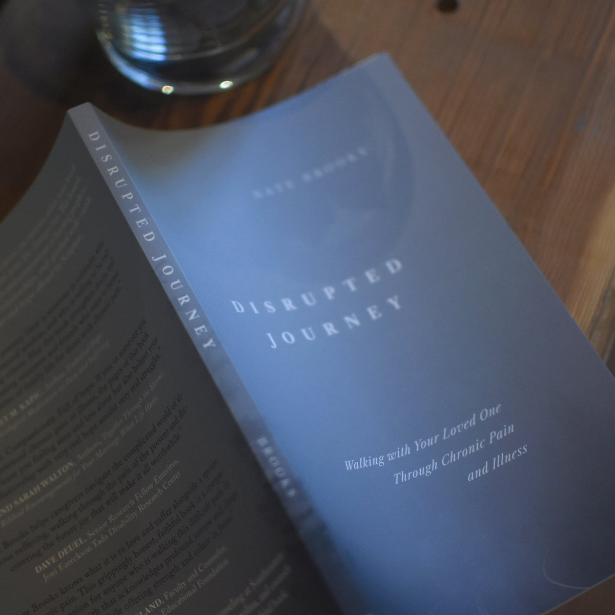 Disrupted Journey – Westminster Bookstore