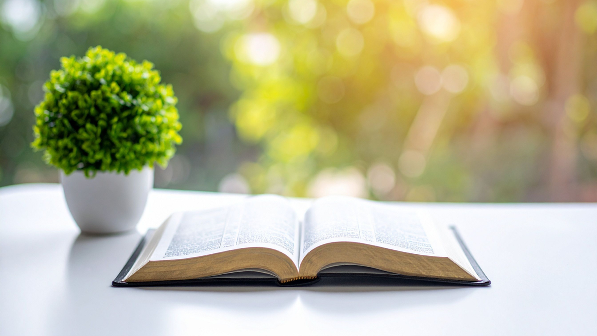 What is Theology? A Simple Definition And Overview – Westminster Bookstore