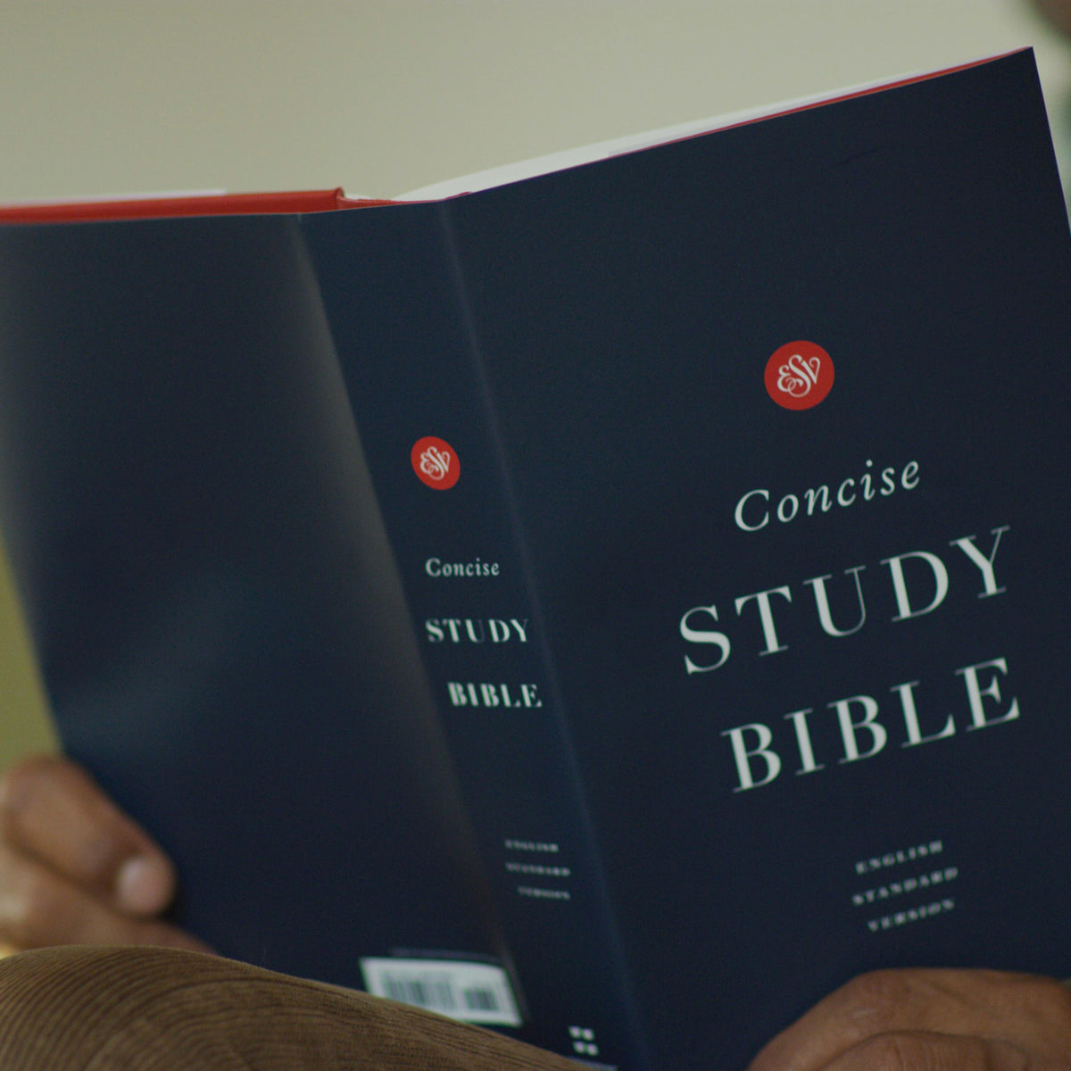 Concise Study Bible – Westminster Bookstore