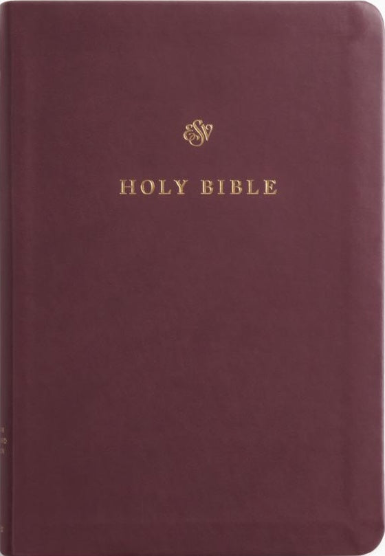 ESV Gift and Award Bible (Trutone, Burgundy) - 9798874903510 ...