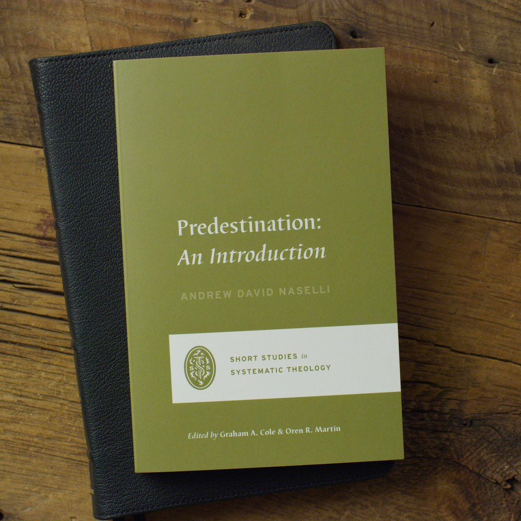 Predestination: An Introduction (Short Studies in Systematic Theology ...
