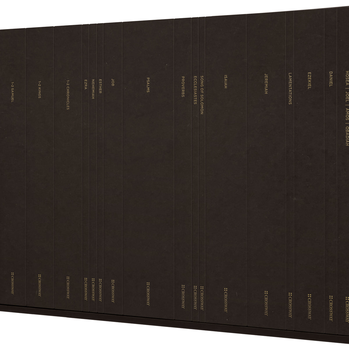 ESV Scripture Journal: Old Testament Set ESV, English Standard Version ...