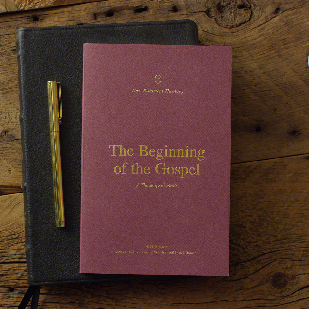 The Beginning of the Gospel: A Theology of Mark (New Testament Theolog ...