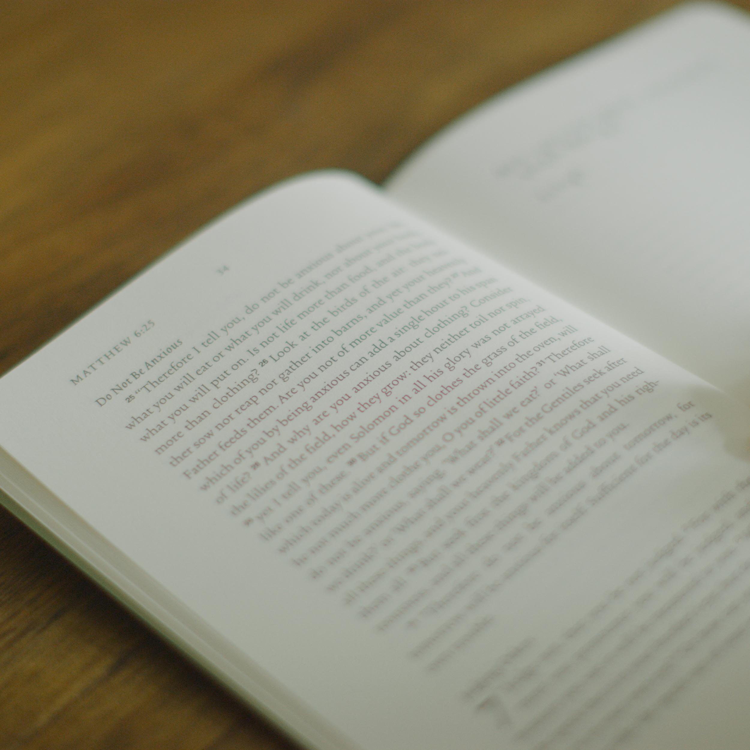 ESV Scripture Journal: New Testament Set (Artwork by Ruth Chou Simons ...