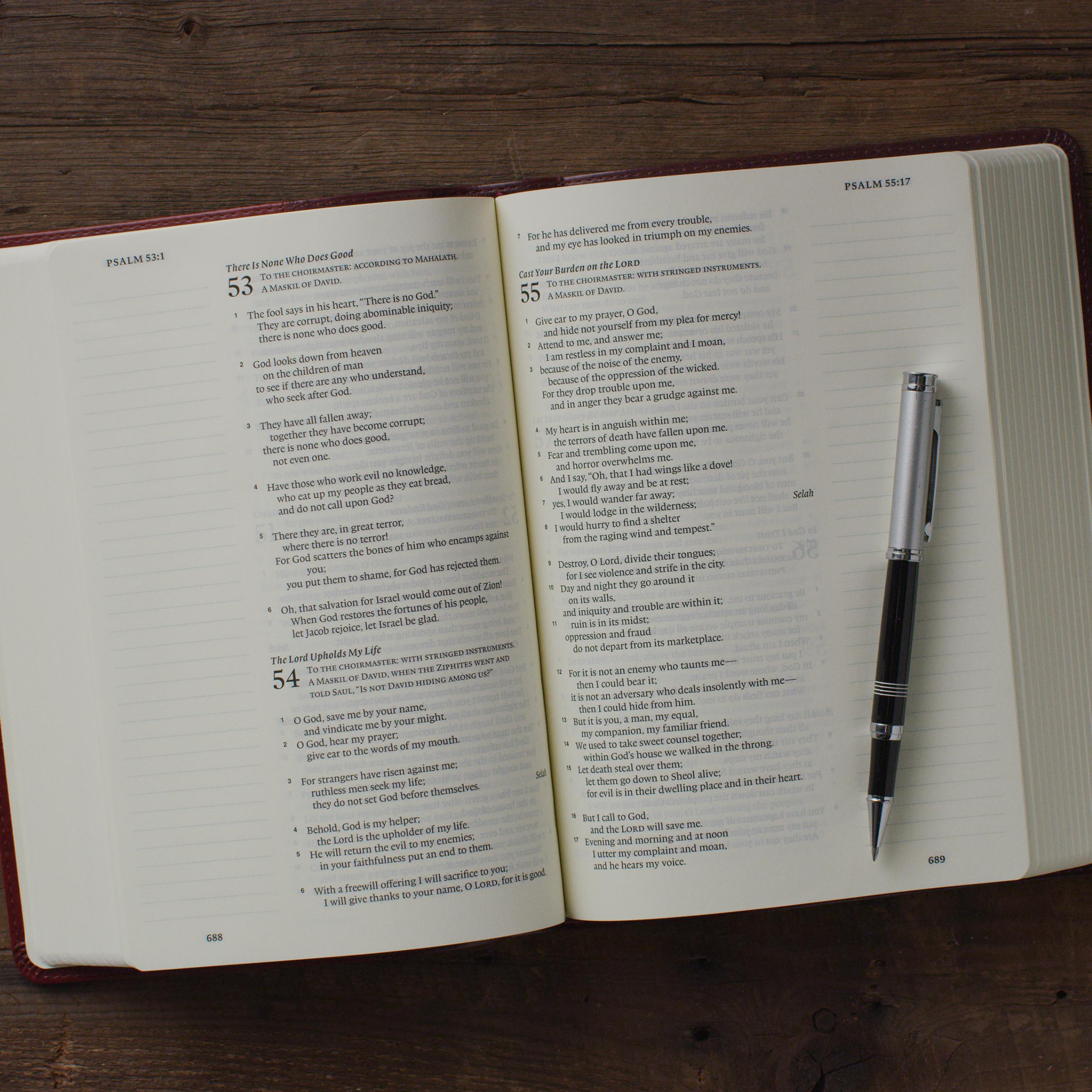 ESV Single Column Journaling Bible, Large Print (Trutone, Burgundy/Red ...