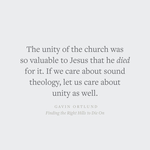 Finding the Right Hills to Die on: The Case for Theological Triage ...