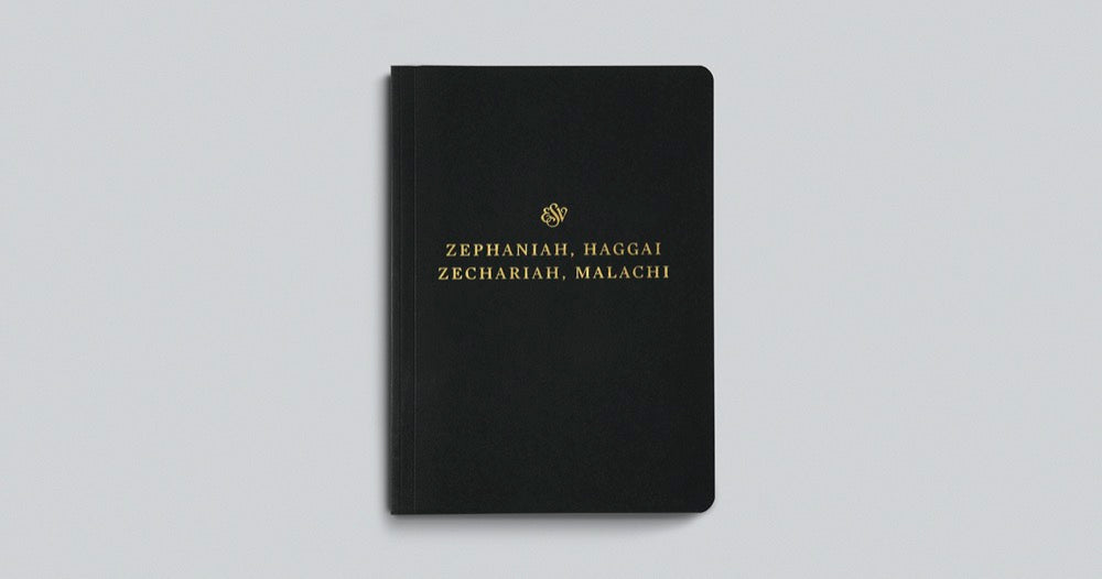 ESV Scripture Journal: Old Testament Set ESV, English Standard Version ...