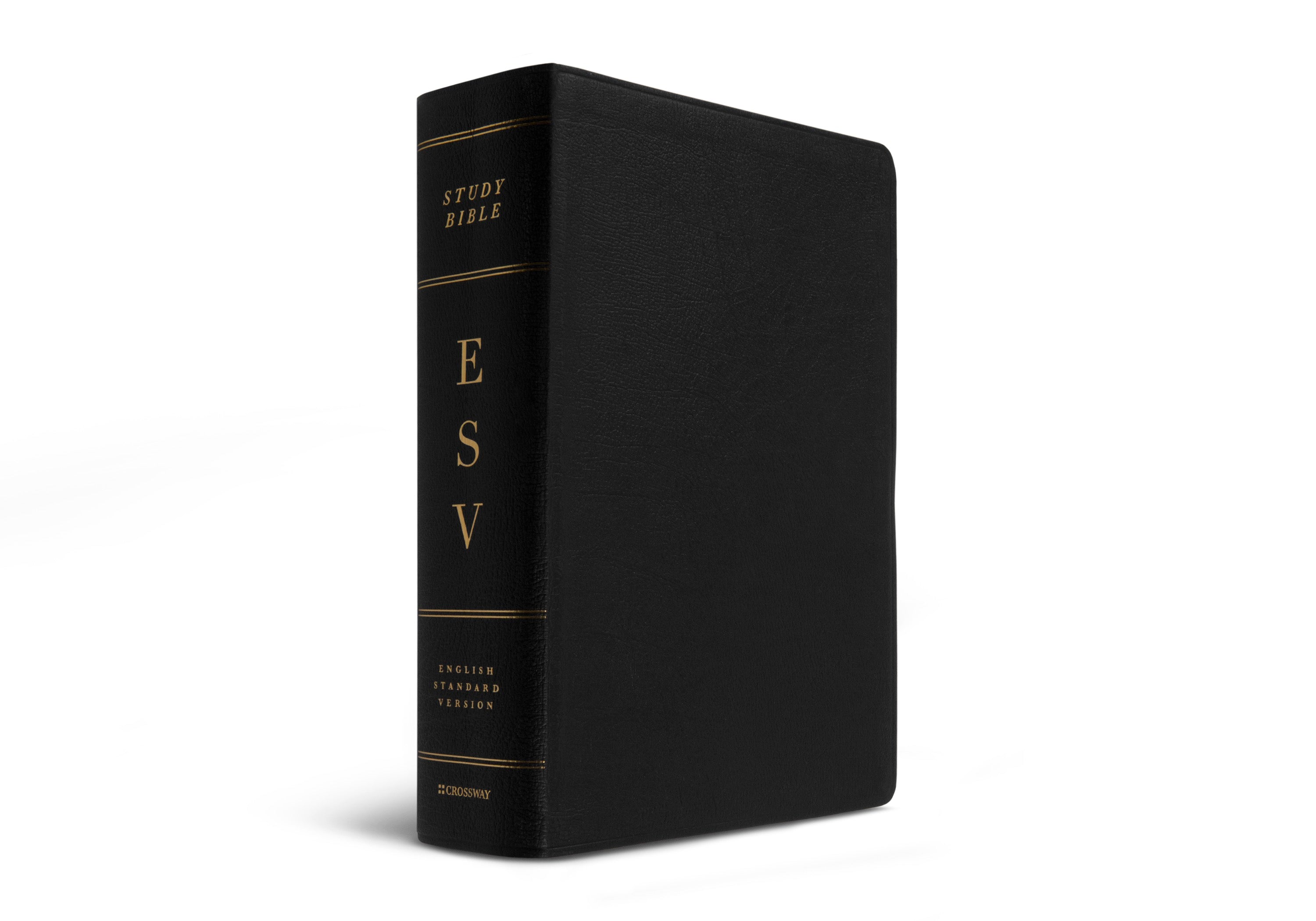 ESV Study Bible, Large Print (Black, Indexed) - English Standard ...