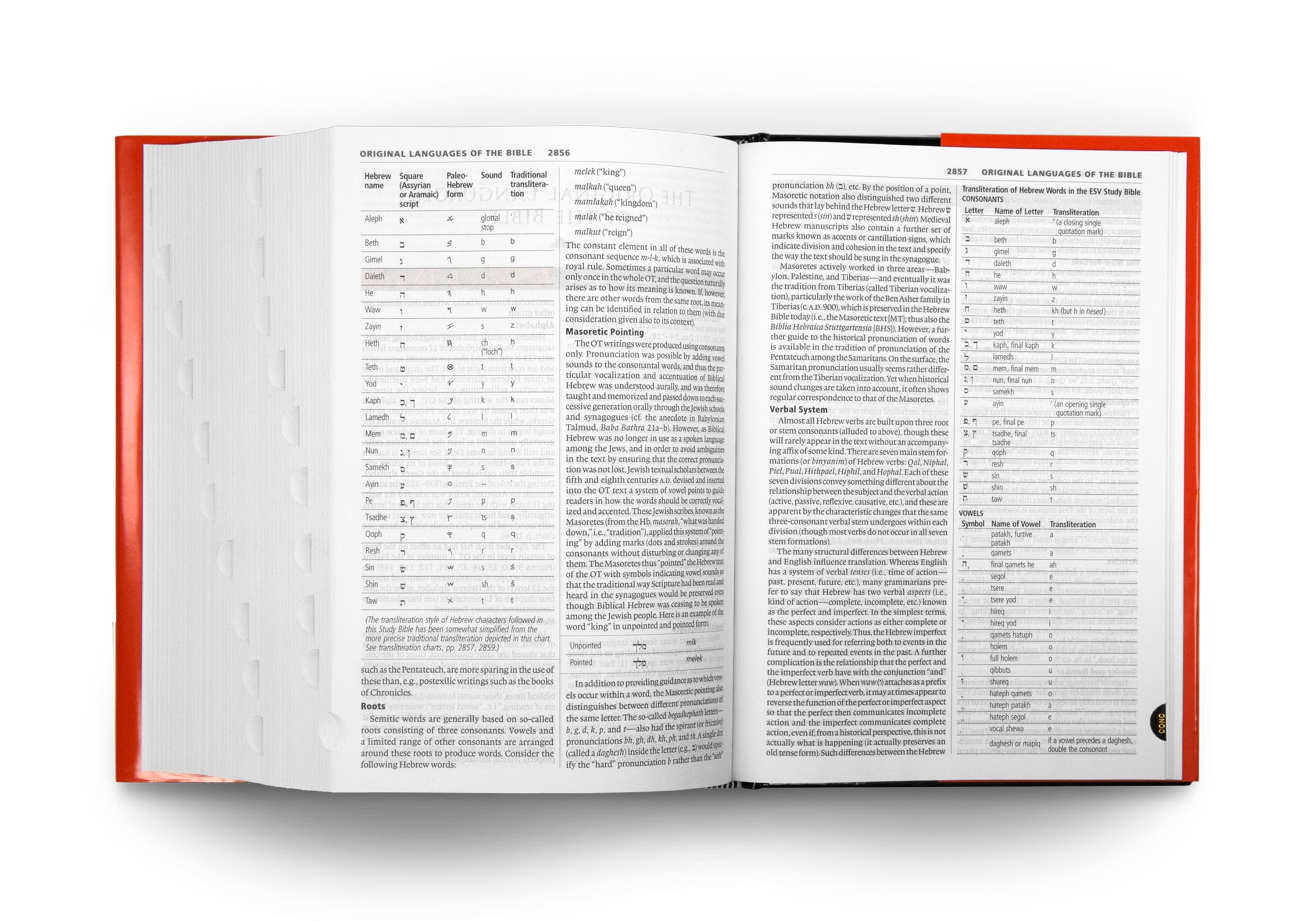 ESV Study Bible, Large Print (Hardcover, Indexed) – Westminster Bookstore