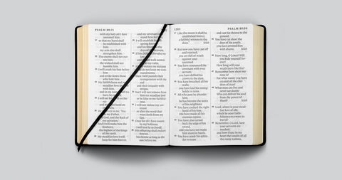 ESV Super Giant Print Bible (Genuine Leather, Black) – Westminster ...